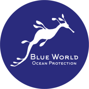 2025 Valerie Taylor Ocean Prize Winners – Blue World
